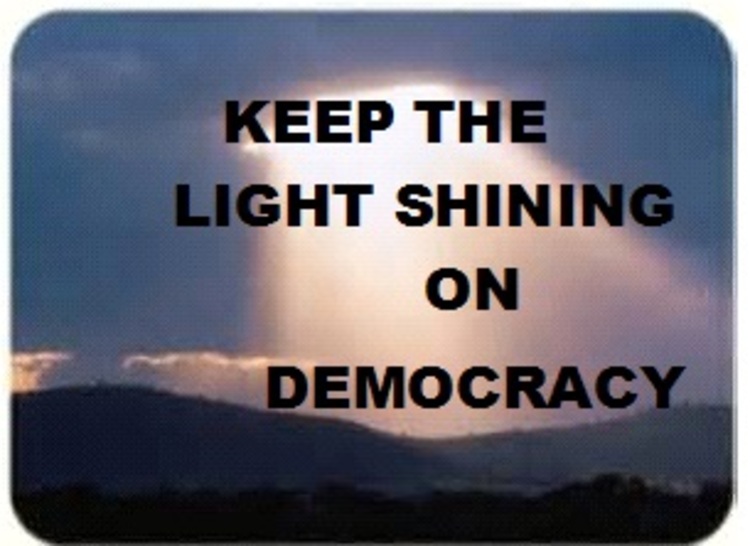 Sunlight on Democracy Rally - Action Network