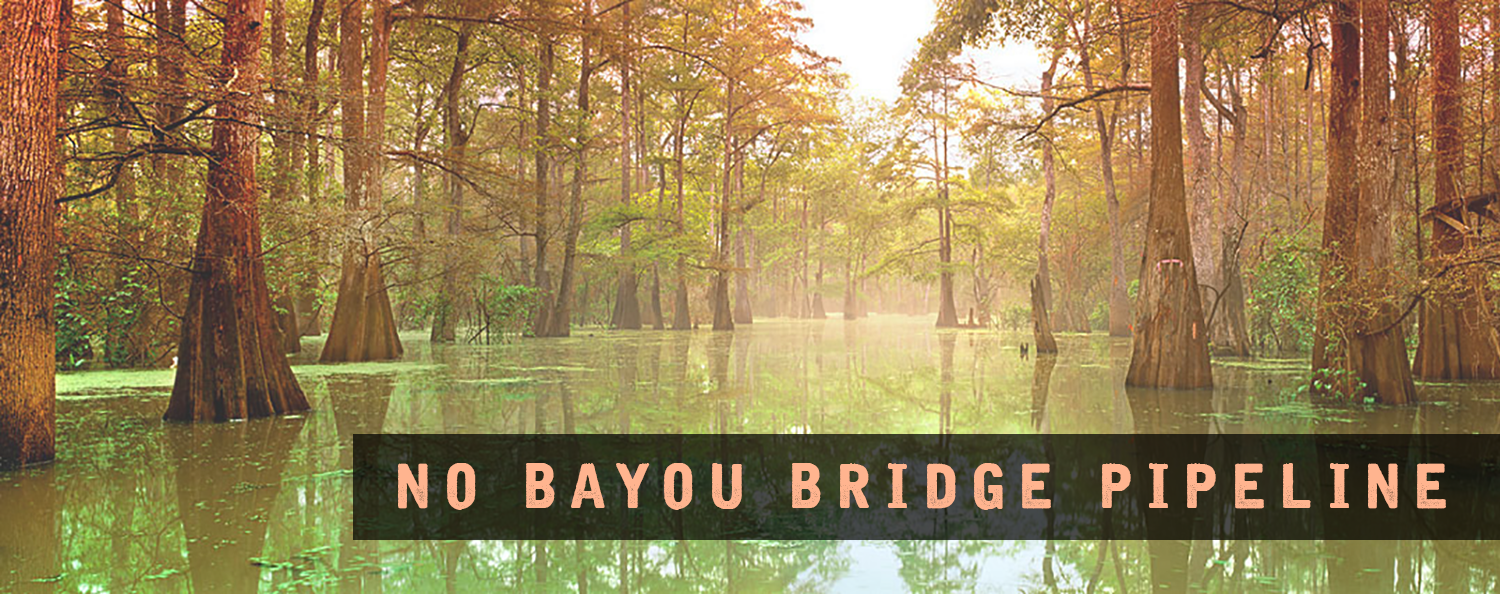 No Bayou Bridge Pipeline Teach-In - Action Network