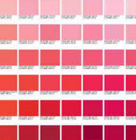 Every Shade of Pink - Action Network