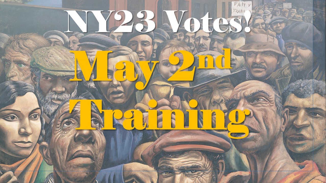 NY23 Votes! Volunteer Training Call (2 of 2) - Action Network