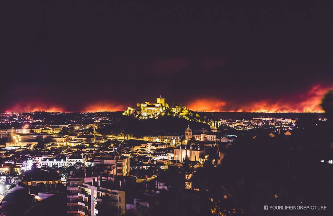 Todos Juntos Pela Reflorestação Do Pinhal De Leiria - Action Network