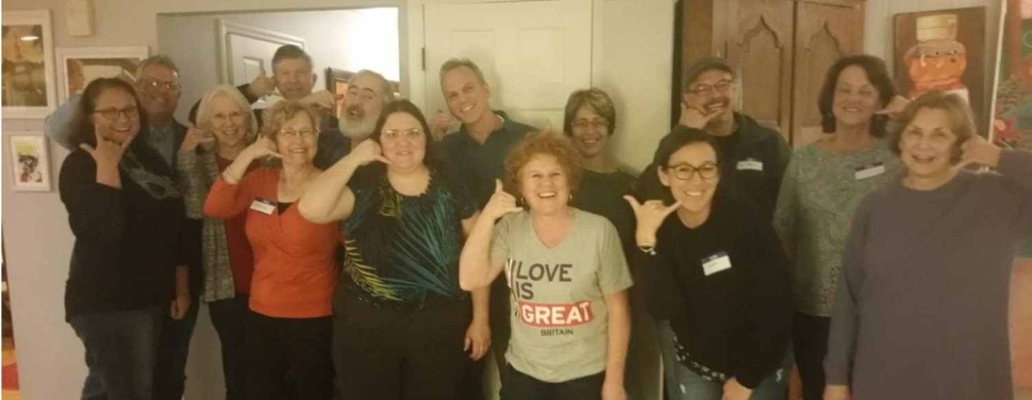 SwingLeft 2020 Kick-Off - Expanding the Electorate; Taking the Senate; And Dealing with That Man ...