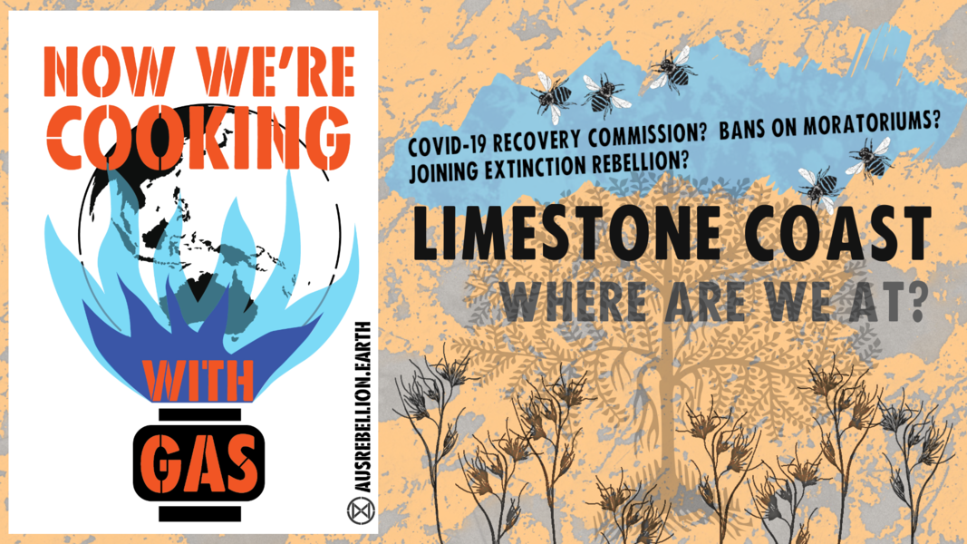 Limestone Coast - Where are we at? - Action Network