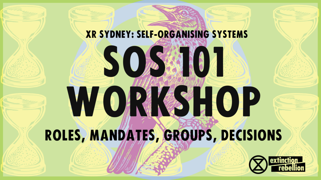SOS 101 workshop - Action Network