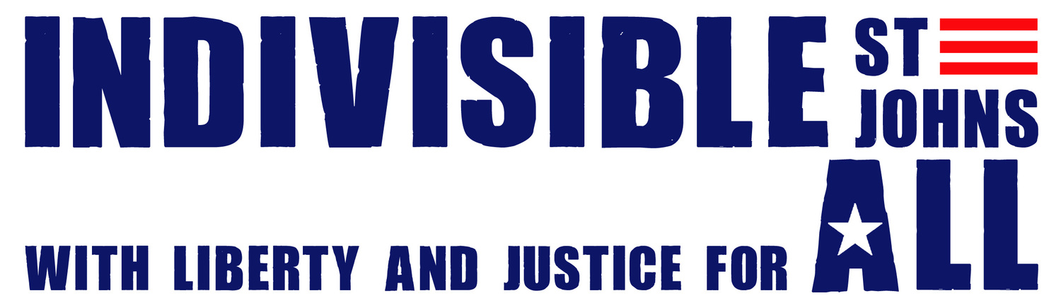 Indivisible St Johns Virtual Social - Action Network