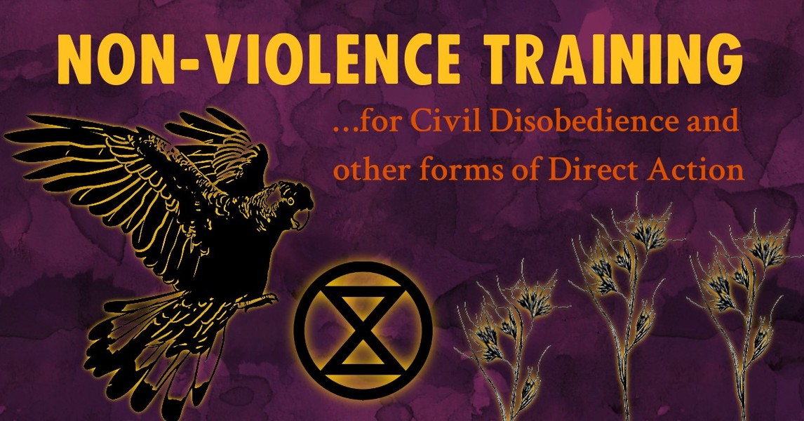 Peaceful Protest (NVDA) Training - Action Network