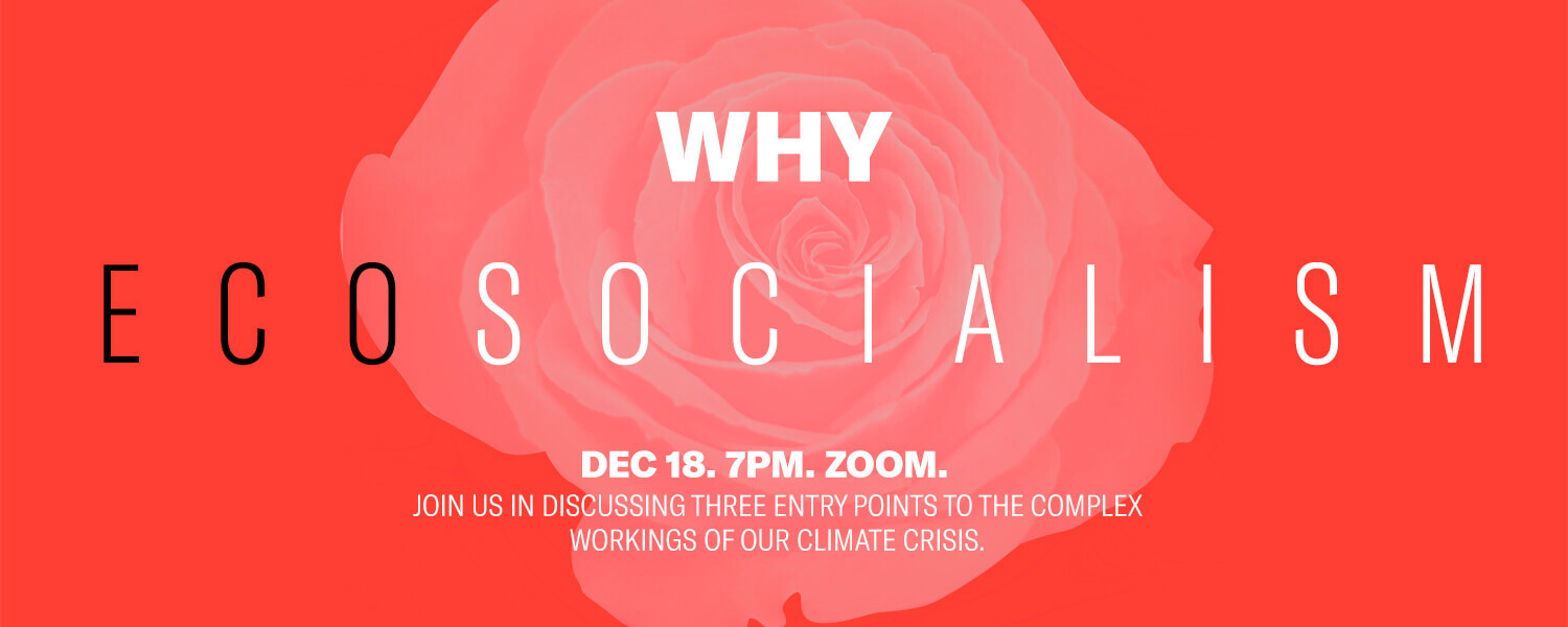 Why Eco-Socialism? - Action Network