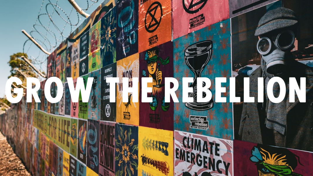 GROW THE REBELLION - Get inspired, get connected, get active! - Action ...