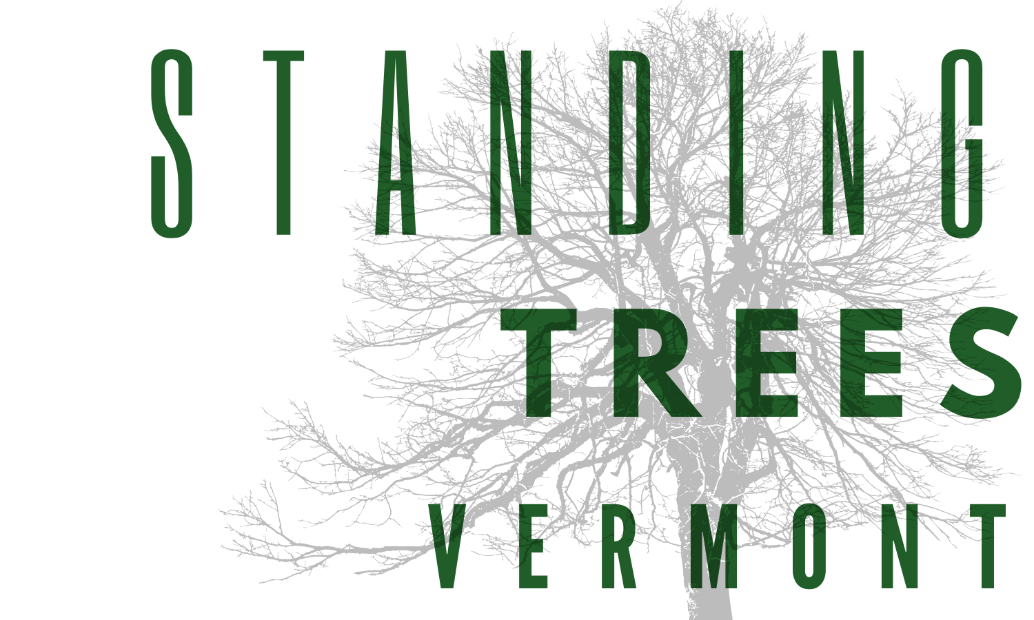 What is Proforestation? A conservation with William Moomaw - Action Network