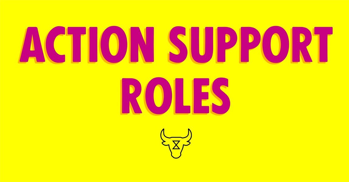 Intro to Action Support Roles