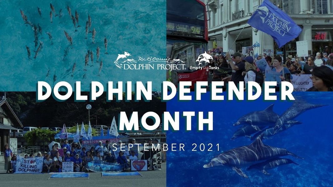 SeaWorld Orlando Protest - Action Network