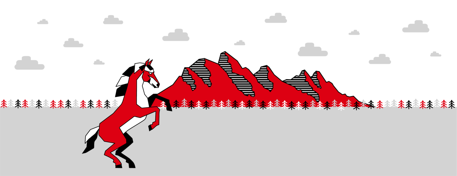 Denver DSA: Building a Mass Organization - Action Network
