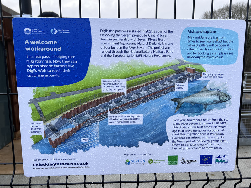 Tour of Diglis Fish Pass and picnic