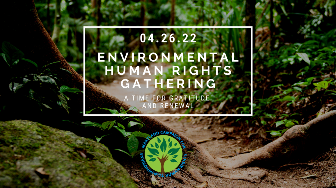 Environmental Human Rights Gathering - Action Network