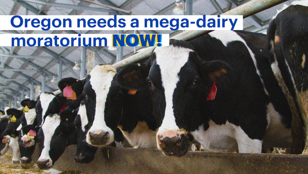 Stopping Mega-dairies in Oregon: Benton County - Action Network