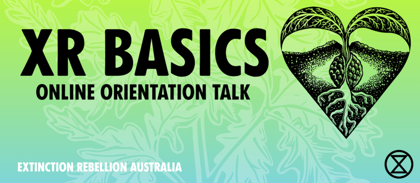 Xr Basics Info Session 7 August Action Network