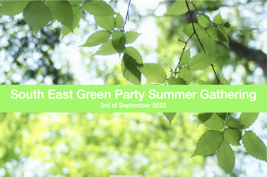 South East Green Party Summer Gathering