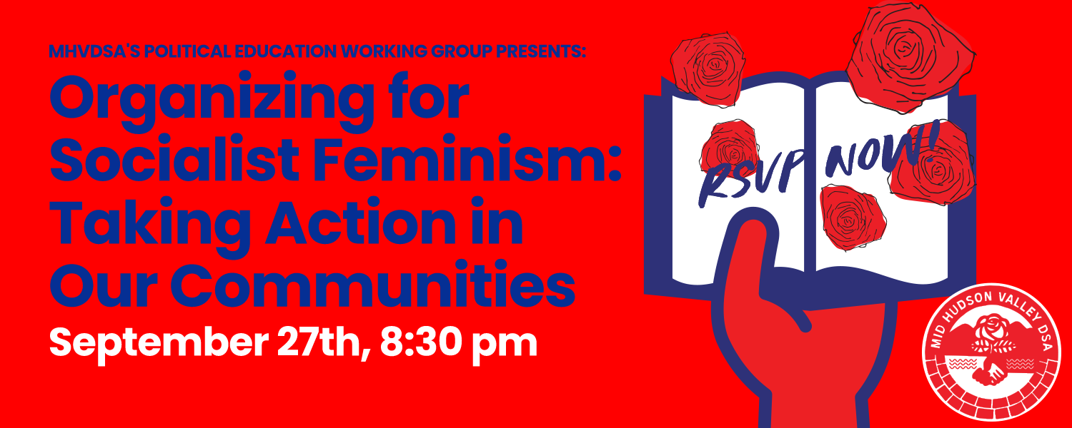 Organizing for Socialist Feminism: Taking Action in Our Communities ...