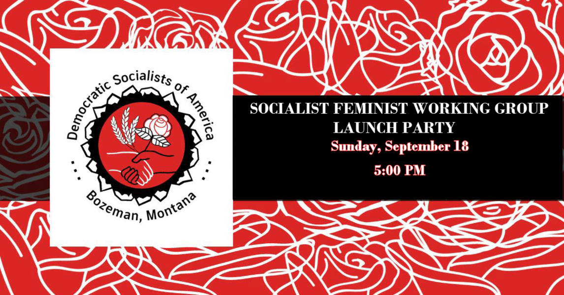 Socialist Feminist Working Group Launch Party Action Network