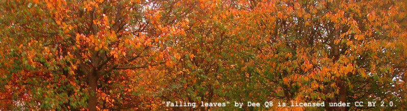 Chester County Fall Get-Together - Action Network