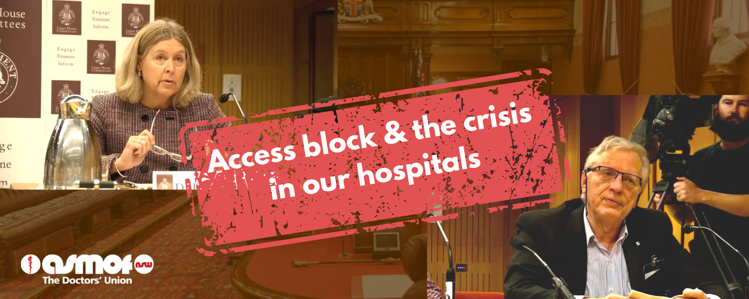 Access block and the crisis in our hospitals - Action Network