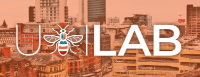 Online Meeting for UBI Lab Greater Manchester - Action Network