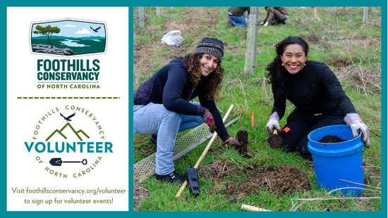 Volunteer Workday: Tree Planting - Action Network