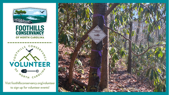 Volunteer Workday: Boundary Marking - Action Network