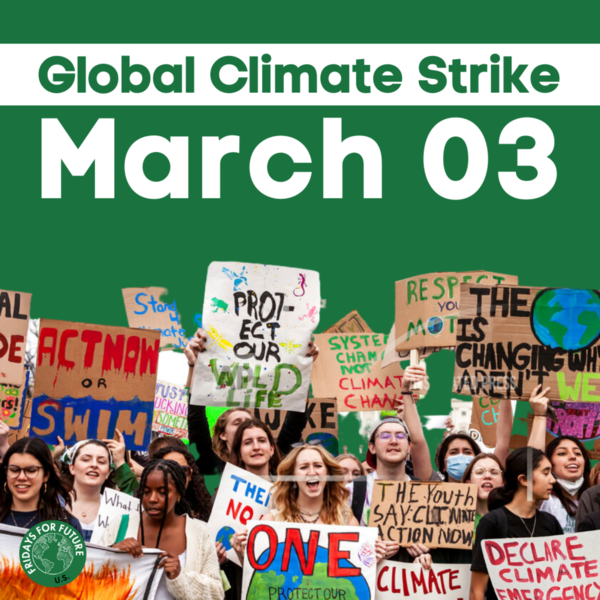 The Global Climate Strike Chicago Action Network