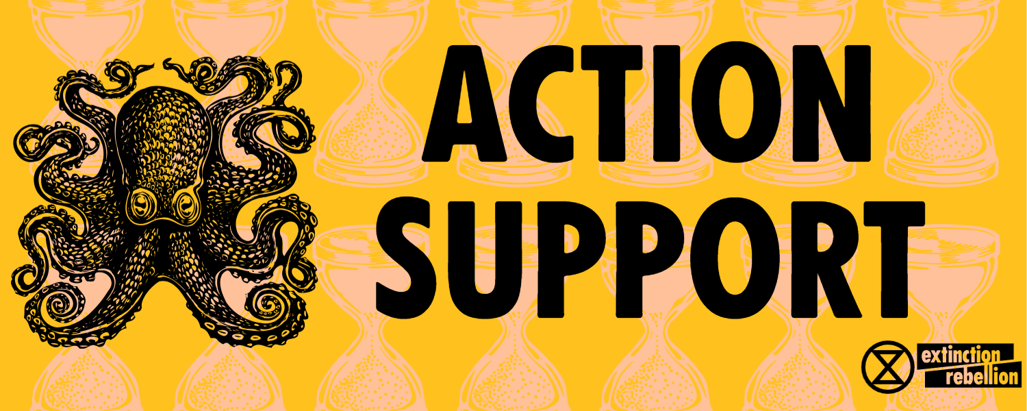 Action Support Roles Fayre