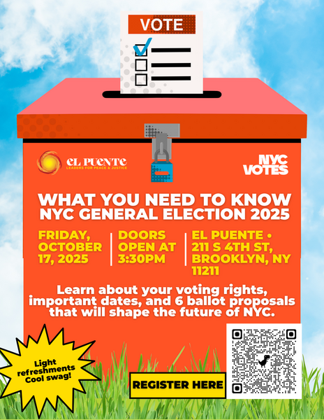 What You Need To Know: General Election 2025 with NYC VOTES - Action ...