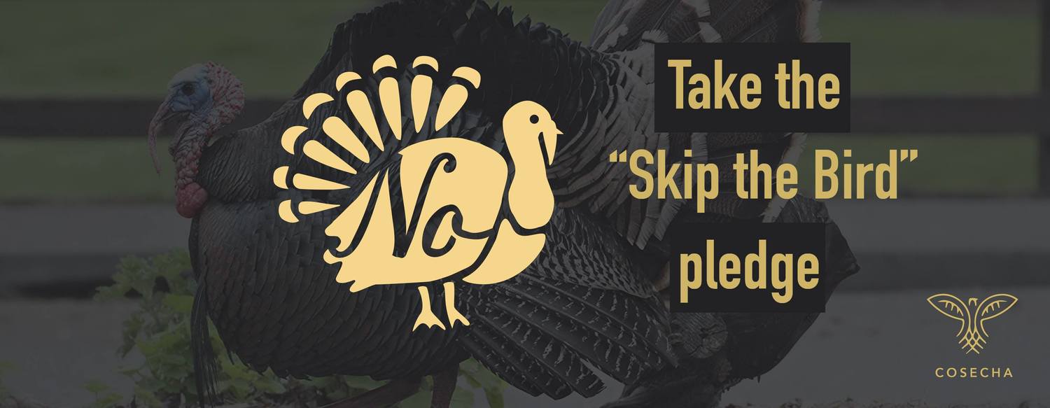 Boycott Turkey this Holiday Season