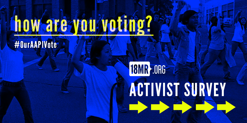How Are You Voting? 18MR Activist Survey (*Survey Now Closed*) - Action Network