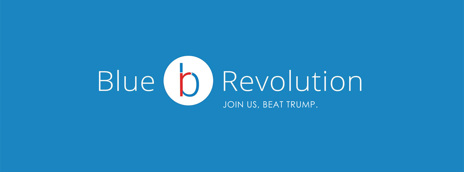 Blue Revolution is looking for Volunteers! - Action Network