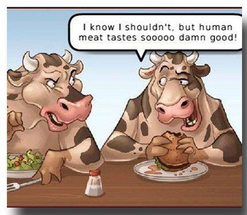 The Argument Against Meat-Eating - Action Network