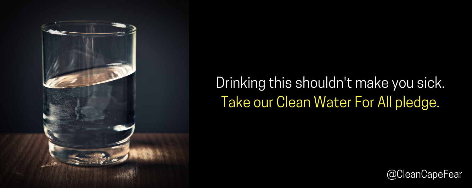 Clean Water For All Pledge - Action Network