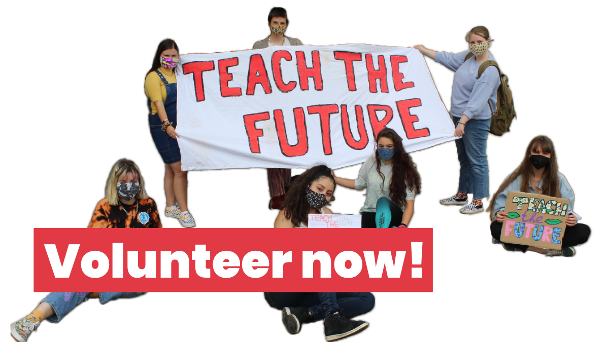 Volunteer for Teach the Future