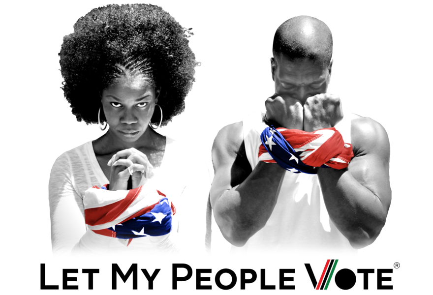 LMPV Ambassador Evaluation - Action Network