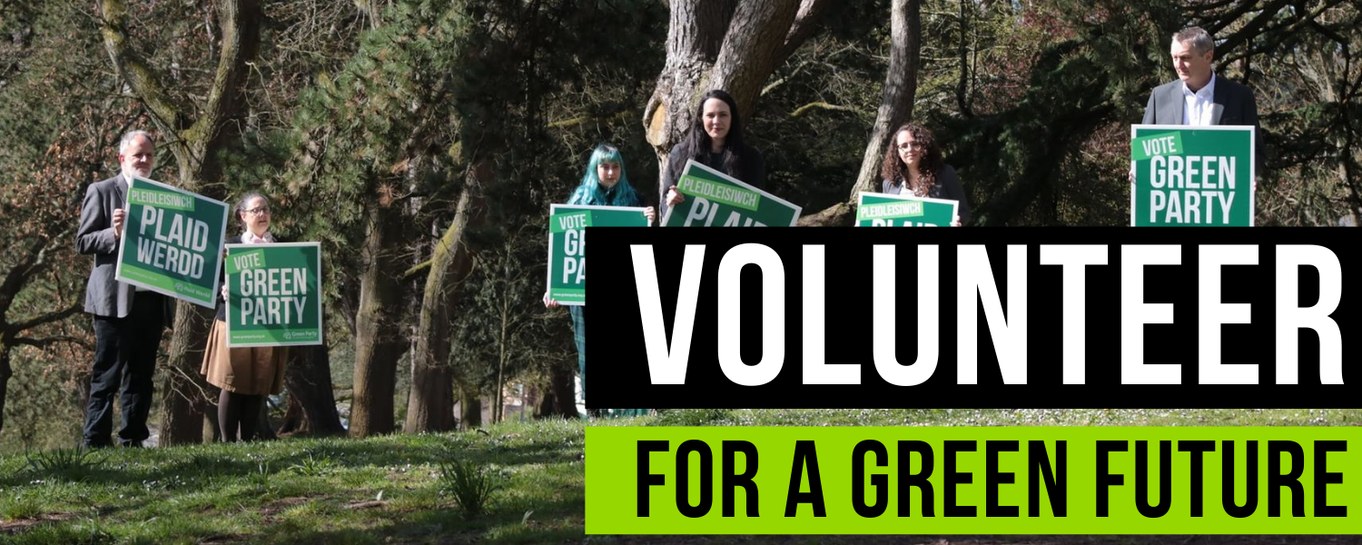 Get Greens Elected - Remote Volunteering