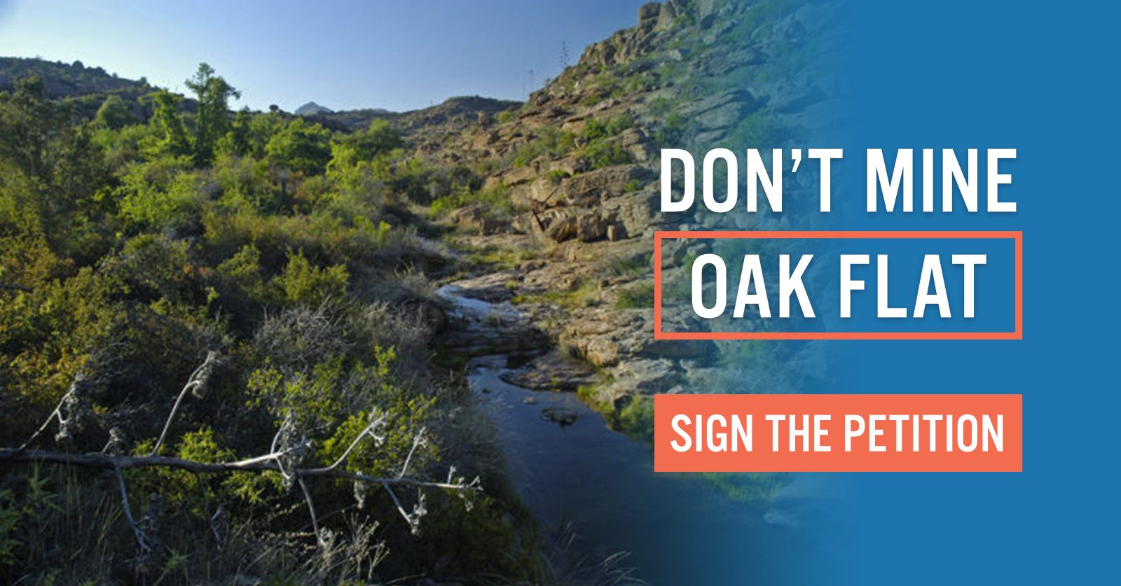 Tell Pres. Biden: Save Oak Flat - Action Network