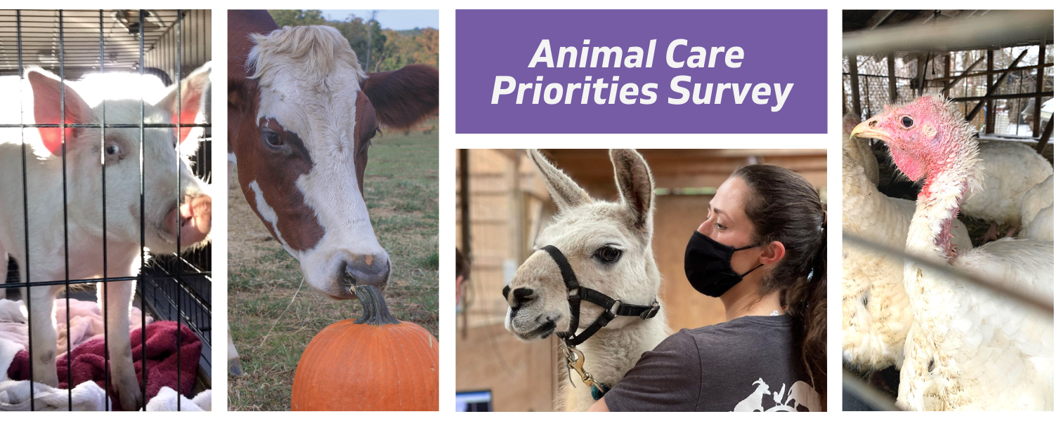 Your Input Is Needed