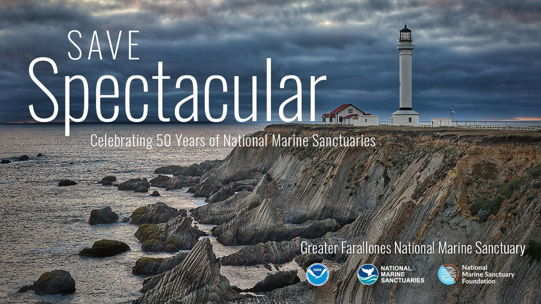 Take the Ocean Protector Pledge! - Action Network