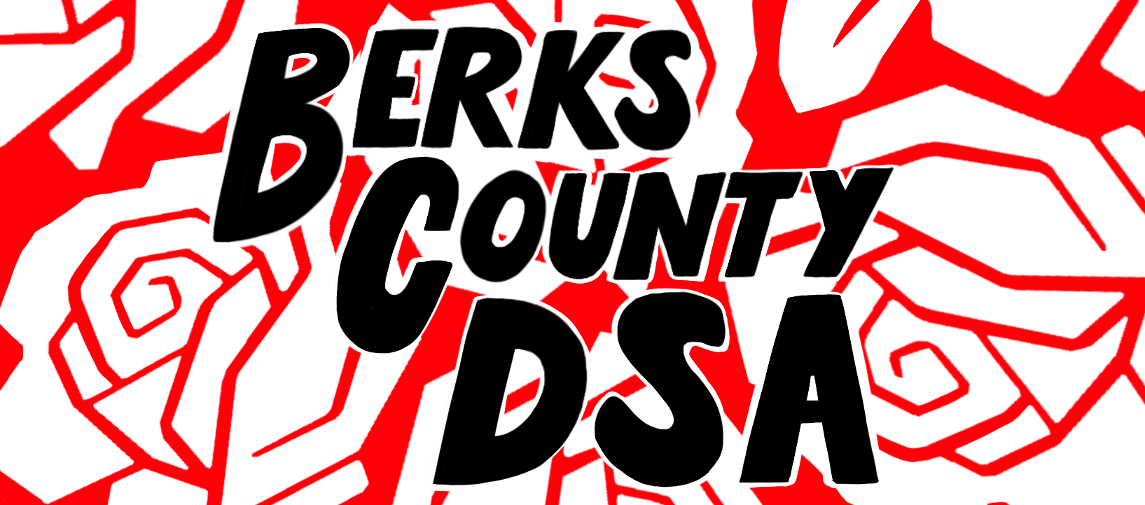 Berks DSA Interest Form - Action Network