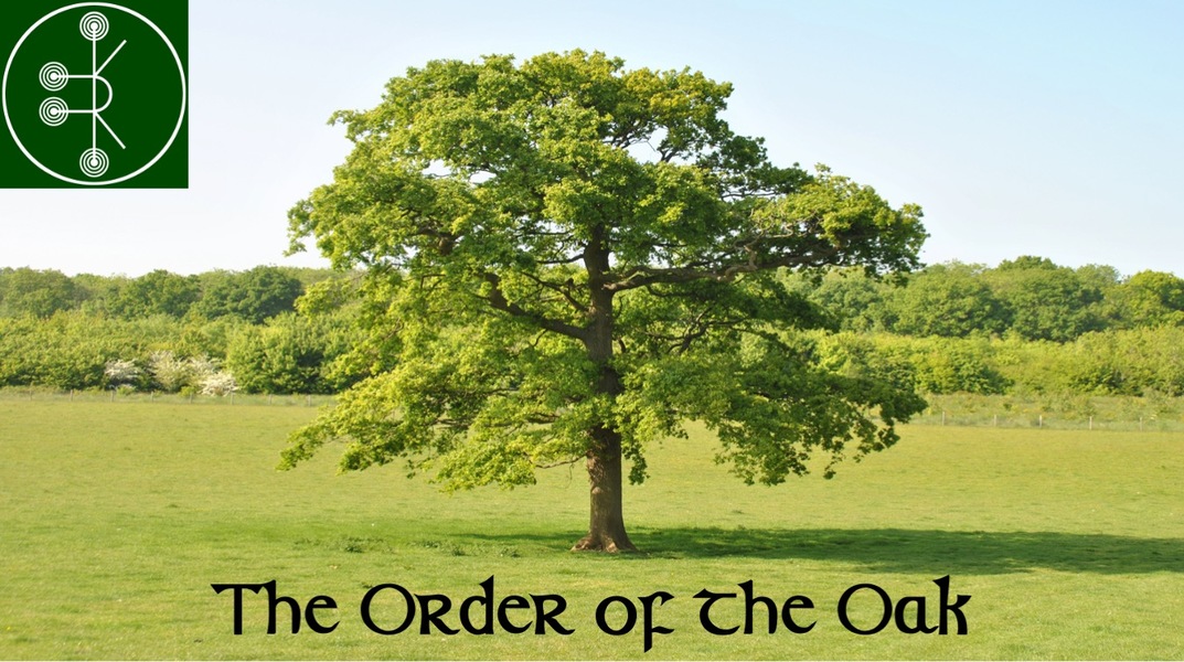 Sign Up Action Network