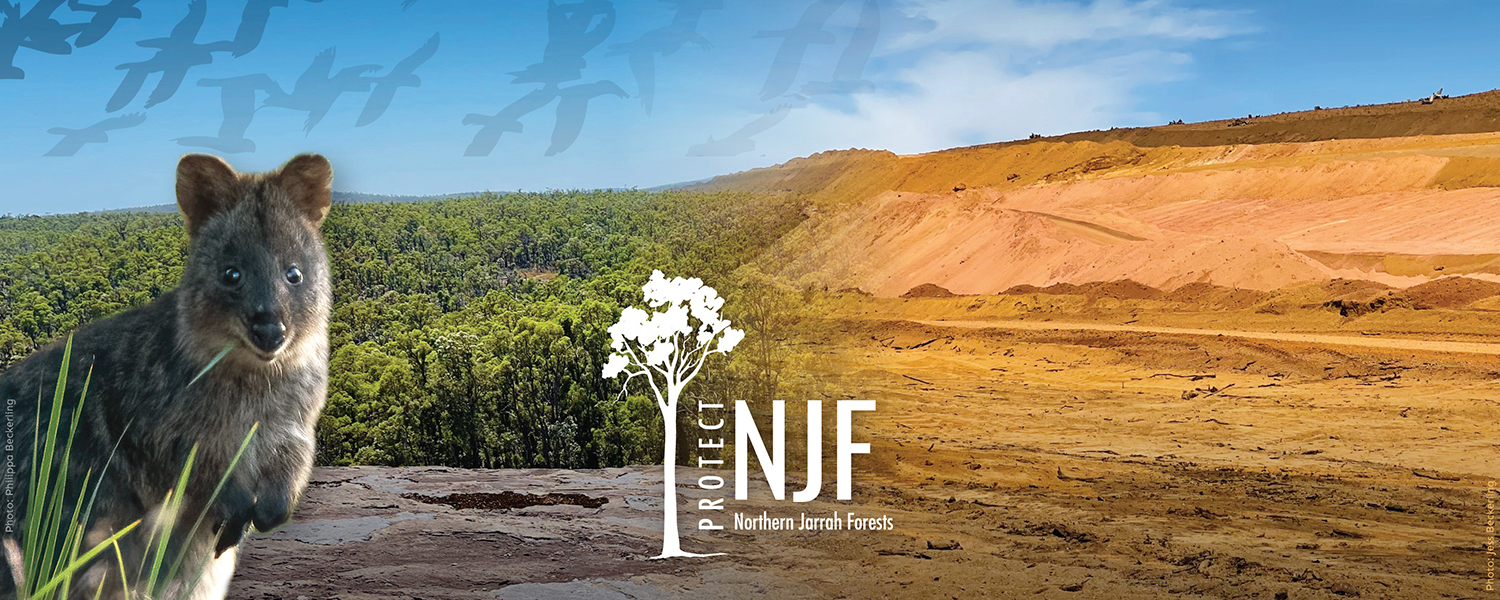 Northern Jarrah Forests Campaign Updates