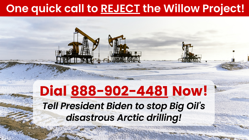 One quick call to stop the Willow Project! Dial 888-902-4481. - Action ...