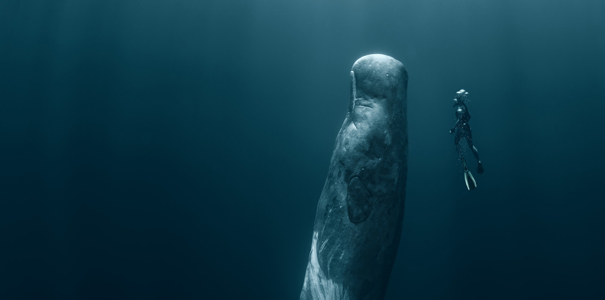 Join us - Action Network