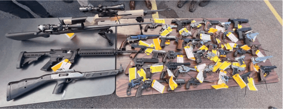 Sign the petition: Close the gun show loophole and ban assault weapons