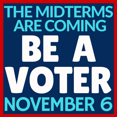 Buy a "Be a Voter" Window Decal! - Action Network