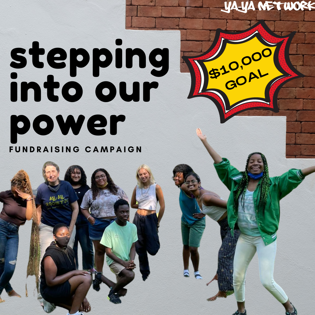 Stepping Into Our Power Fundraising Campaign - Action Network